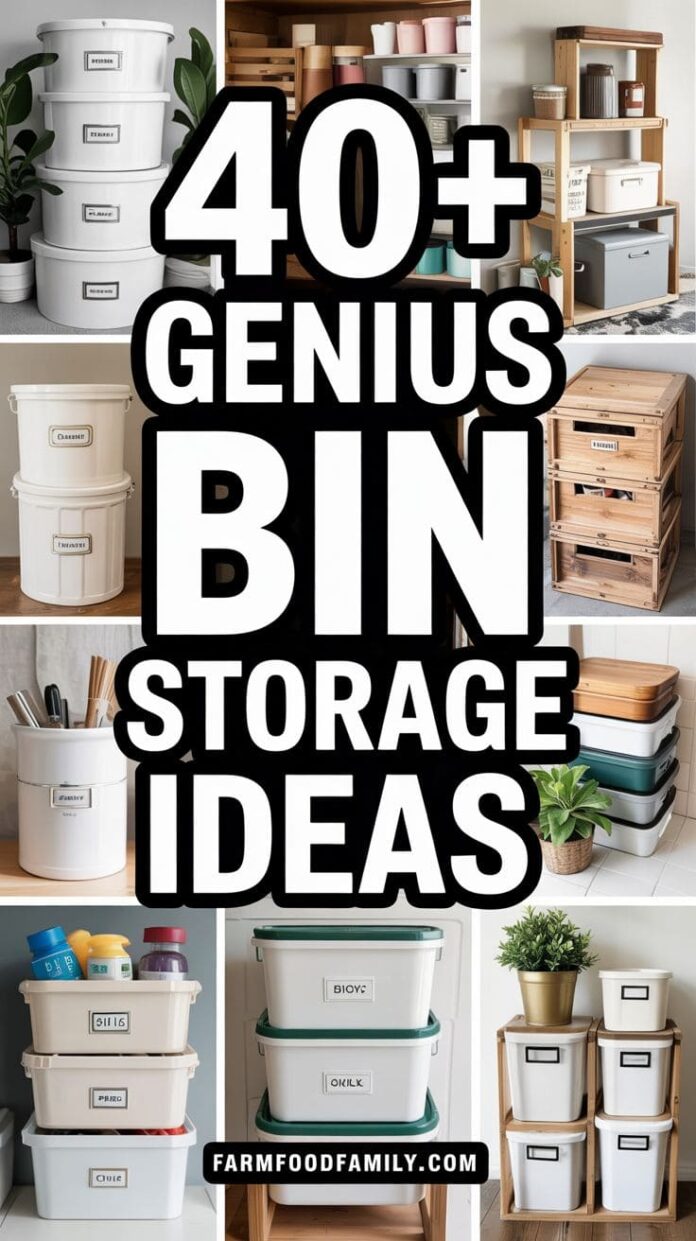 40+ Easy Bin Storage Upgrades That Instantly Organize Any Room (2025 ...