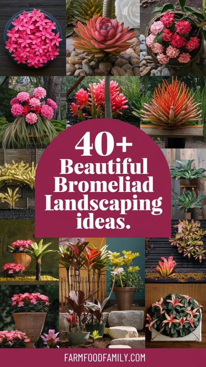 40+ Gorgeous Bromeliad Landscaping Ideas That Add Instant Wow to Your ...