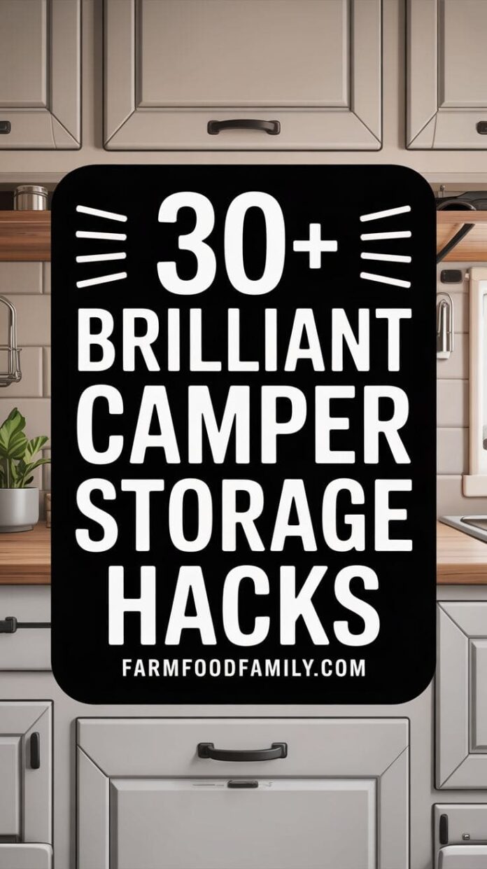 30+ Must-Try Camper Storage Ideas to Maximize Small Spaces (2025 ...
