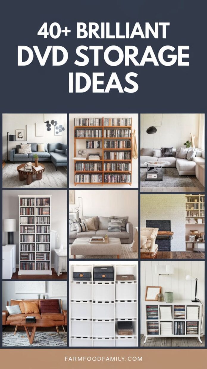 40+ Brilliant DVD Storage Ideas You’ll Wish You Knew Sooner (2026 ...