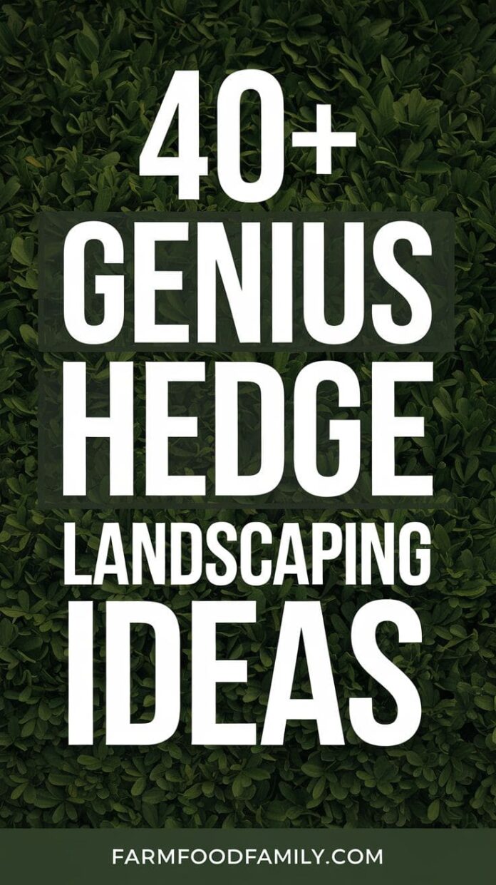 40+ Beautiful Hedge Landscaping Ideas That Add Instant Curb Appeal ...