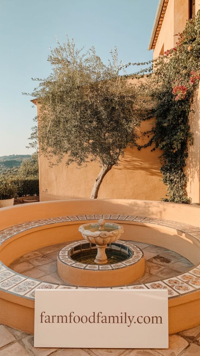 20+ Dreamy European Backyard Ideas You’ll Want to Copy Immediately ...