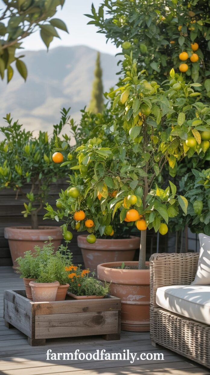 20+ Effortless California Backyard Ideas That Scream West Coast Vibes ...